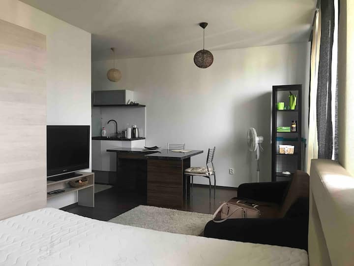 Small & Cozy Apartment - Bratislava