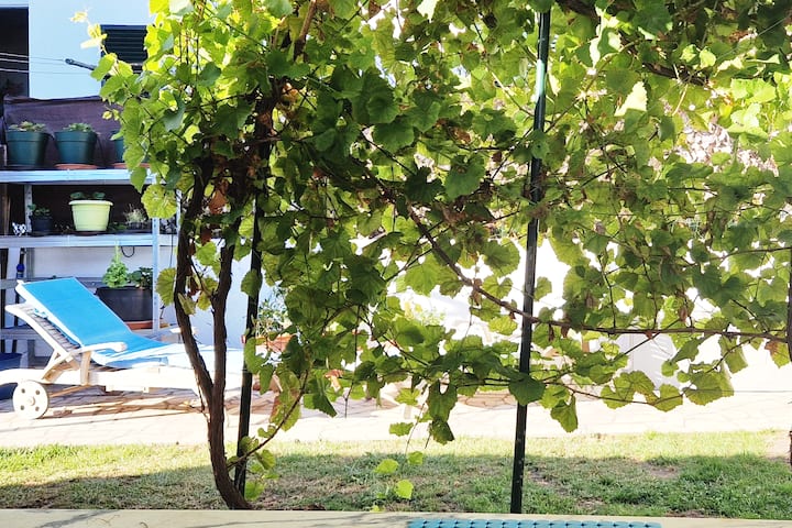 Vine House - Estoril