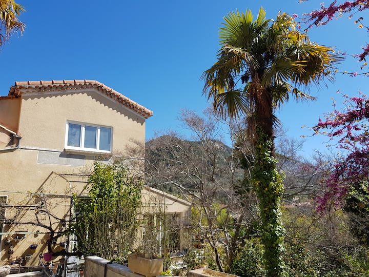 Maison Les Mimosas En Drôme Provençale 5 Chambres - Buis-les-Baronnies