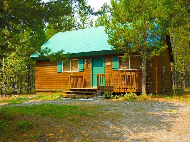 Rustic Cabin | Wooded Area | Fire Pit With Seating - 아일랜드 파크
