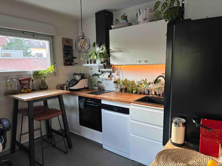 ÉVasion Lyonnaise, T3 Entier à Proximité Jean-macé - Lyon