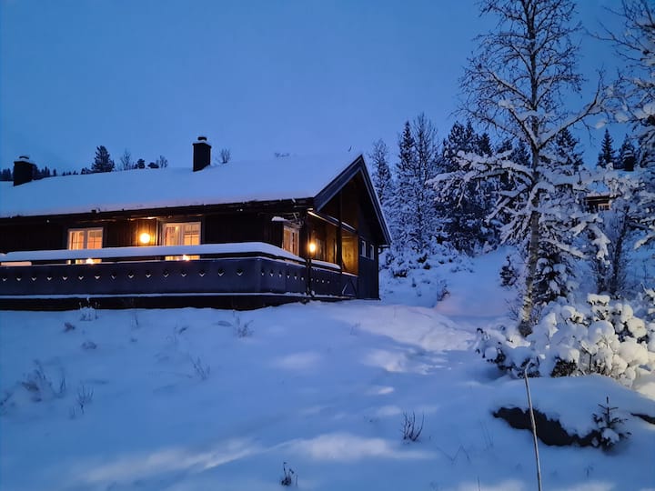 Gålå Alpin, Peer Gynt
Blåbærvegen
Gemütliche Hytte - Gålå