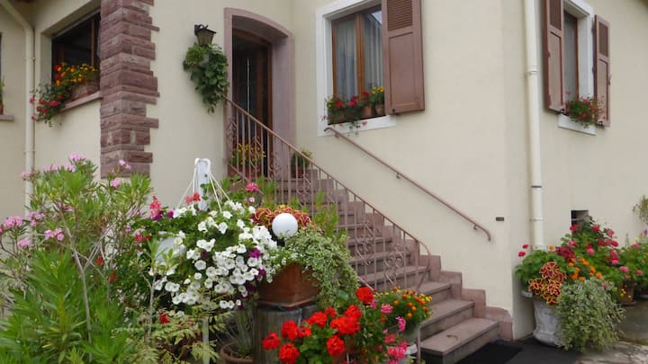 Gite Lit De La Petite Venise  /  Parking & Jardin - Colmar