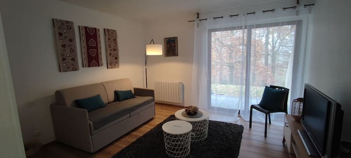 Grand Studio Proche D'obernai - Ottrott