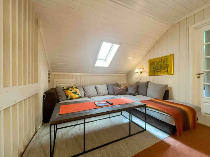 Spacious Private Floor W/mountain View For Up To 7 - Noruega