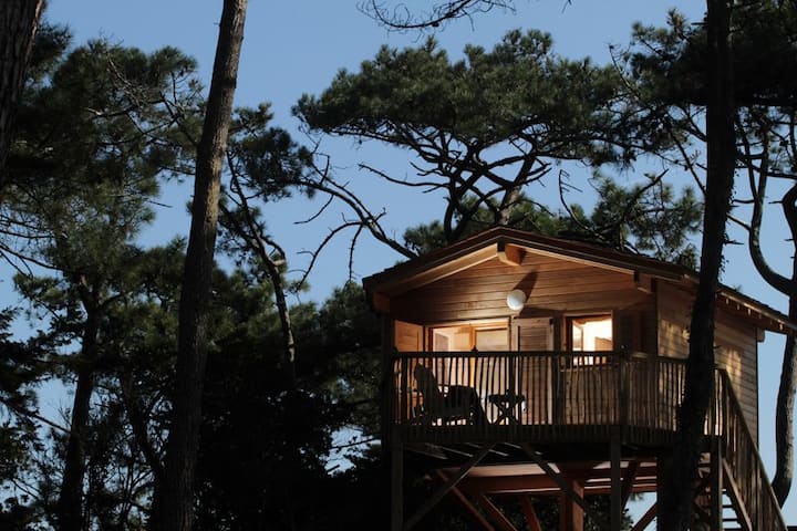 Cabane Tchanquée - Lacanau