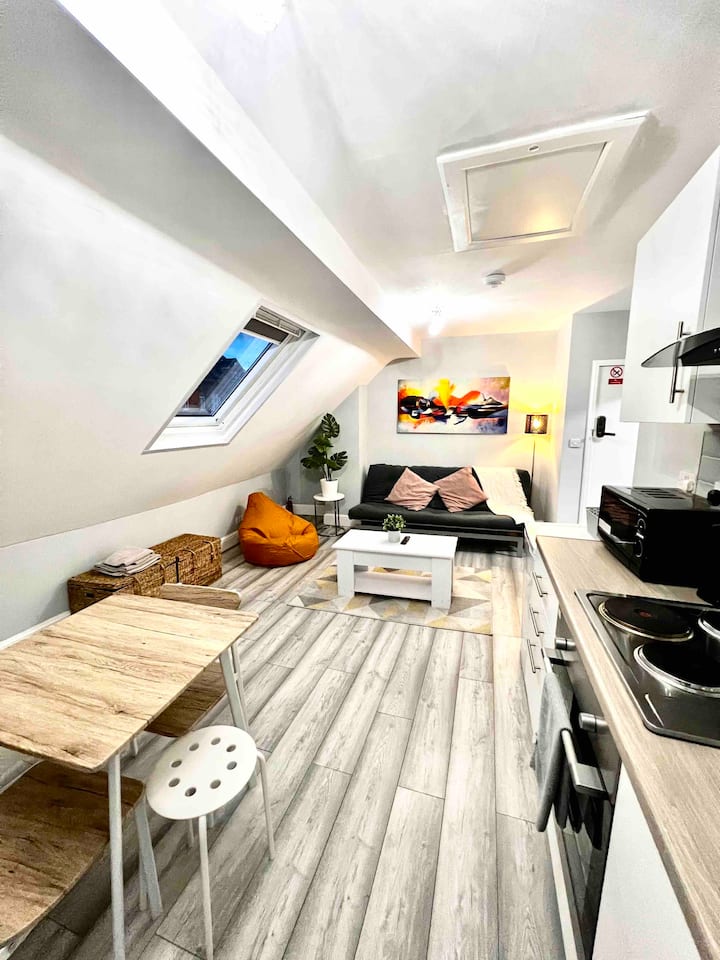 Dvm Escape Flat 3 - Bristol