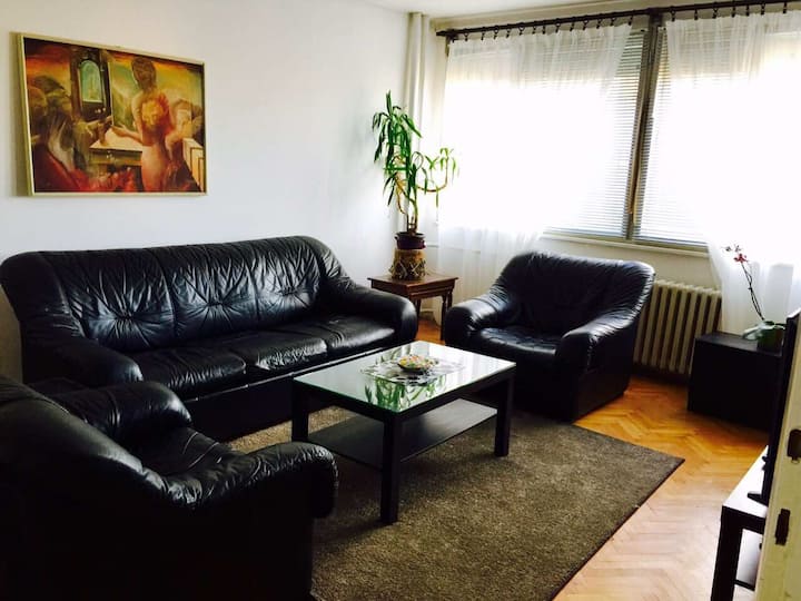 A Flat In A Great Location! W/ac, Optic Internet - Niš