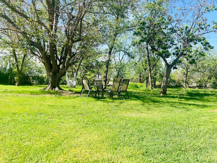 Casita Coyote On An Orchard With Massage Bed - El Paso, TX