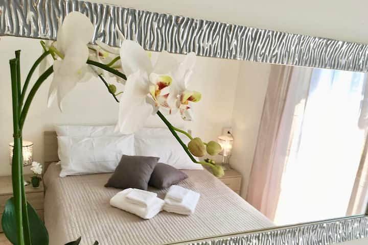 Orchidea In Centro Di Como - Côme