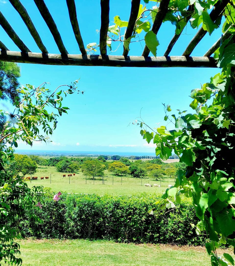 Boknesstrand Vacation Rentals & Homes - Boknes Strand, South Africa ...