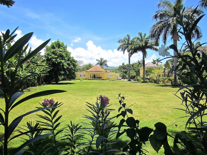 Morning Glory Near Dunns River & Dolphin Cove - Jamaika