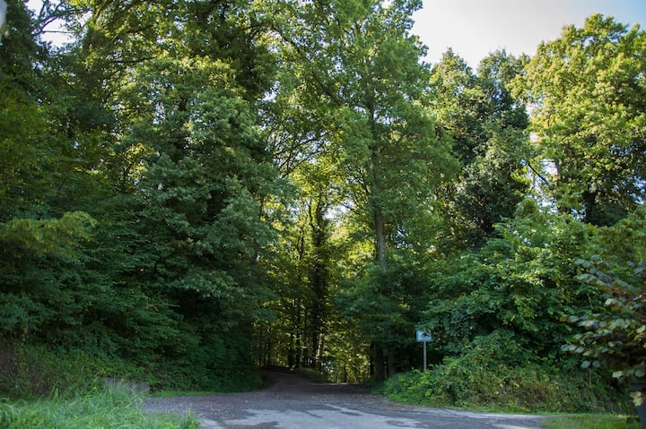 Charmante Maison Forêt Noire Avec Vue Magnifique - Lahr/Schwarzwald