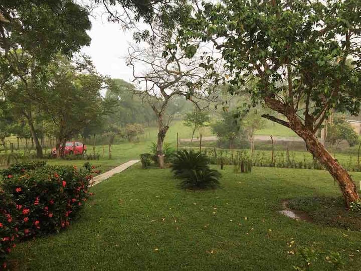 Best Place In Villahermosa To Relax And Rest... - Tabasco