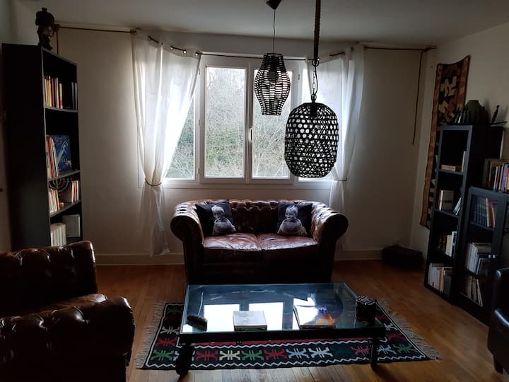 Grand Appartement Avec Vue Panoramique De Nancy - Nancy