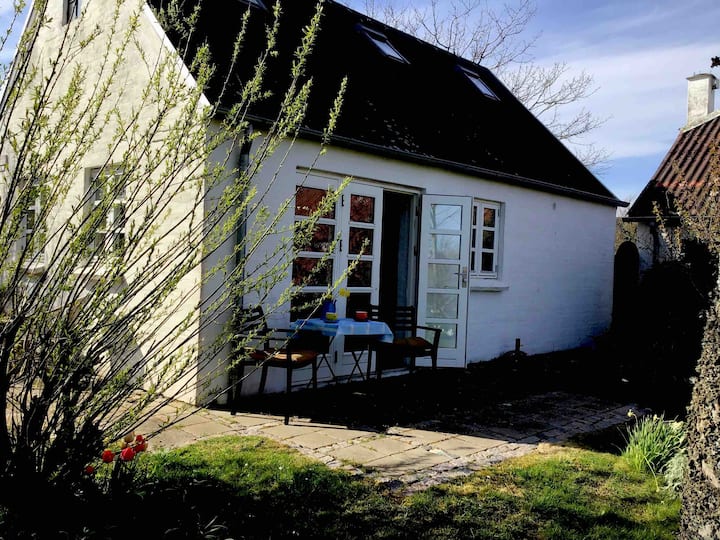 Mandø. I Hjertet Af Nationalpark Vadehavet - Ribe