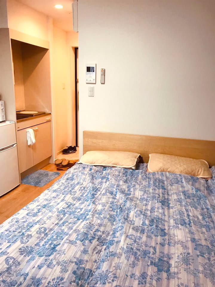 Jr上野站步行5分,直通成田机场,202室 - Asakusa