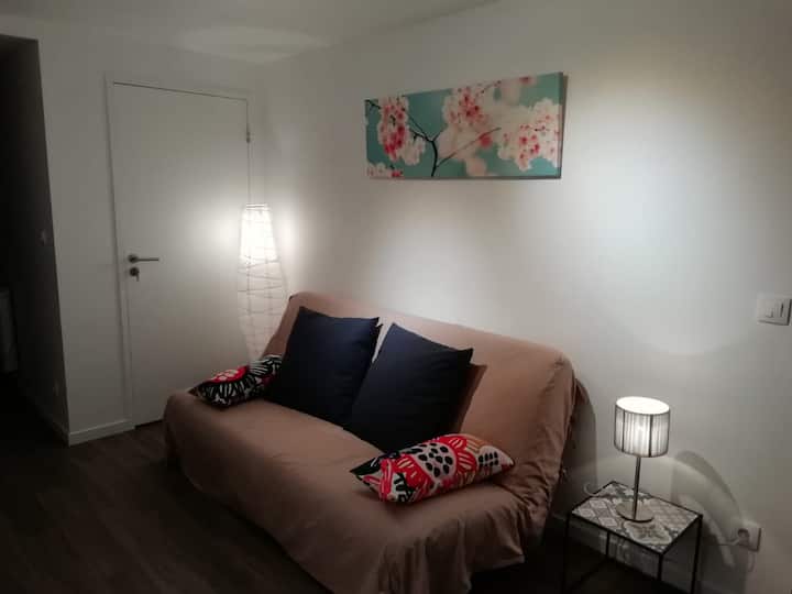 T2 55m2 à 15mn Des 7 Laux / Prapoutel - Vaujany