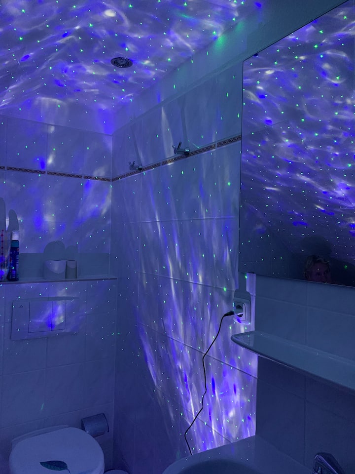 Messenah: Dachgeschoss Whg, Tageslichtbad, Stuffed - 라이프치히