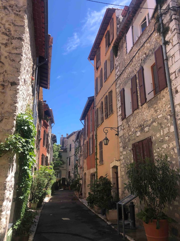 Vence Logement 2 Pièces 34m2 Calme Et Central - Carros