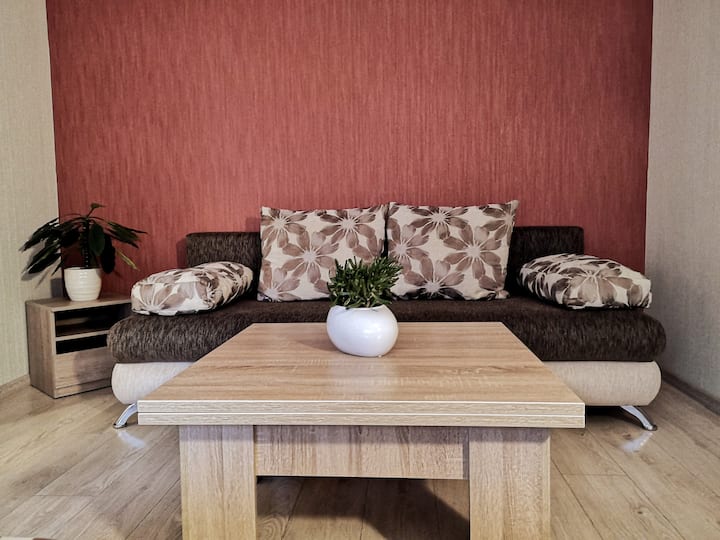 Cozy, Low Priced, Good Communication With Old Town - Kaunas