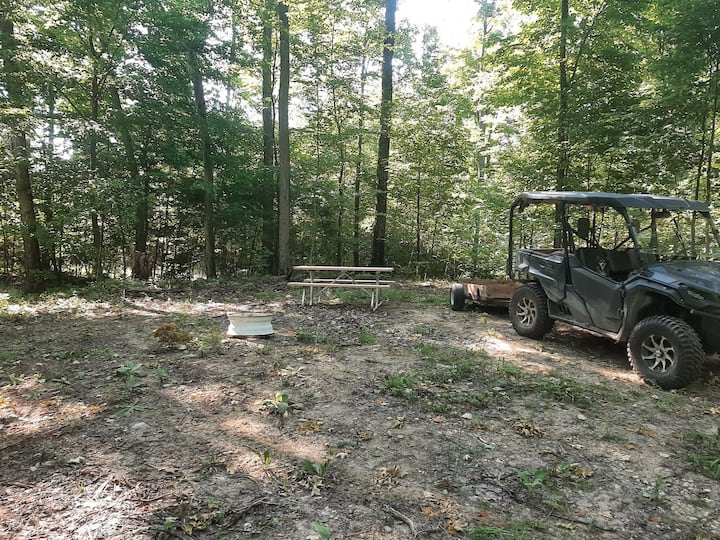 Three Sites Available In Cedar Or Hardwood Bush - Hanover