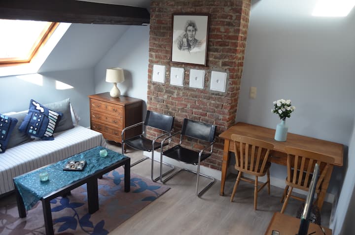 Très Bel Appartement à Bruxelles - Schaerbeek