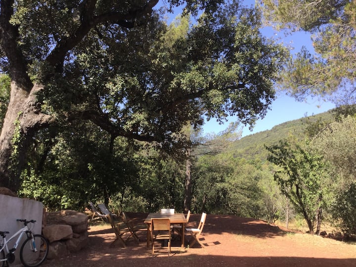 Bas De Villa En Campagne Varoise Avec Piscine - Pierrefeu-du-Var