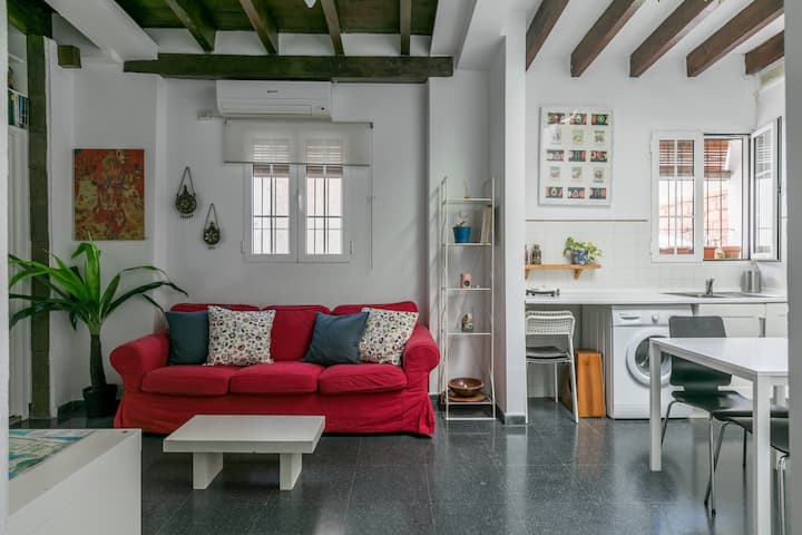 Un Apartamento Con Encanto - Seville