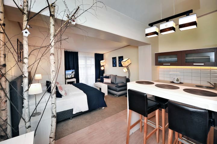 Koliba Kamzík - Studios 2+2 - Starý Smokovec