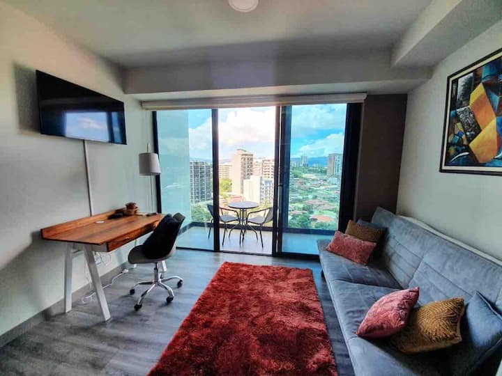 Modern Apt W/ Amazing View, Near Airport,fast Wifi - San José