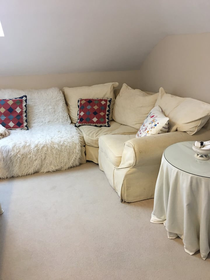 Top Floor With Private Bathroom Sofa + Mini Fridge - Dublin
