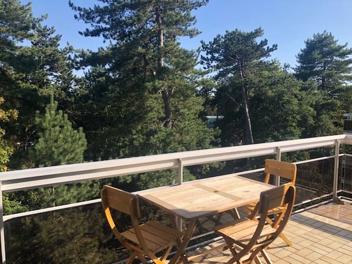 Appartement 2chambres Et Parking Le Touquet - Le Touquet-Paris-Plage