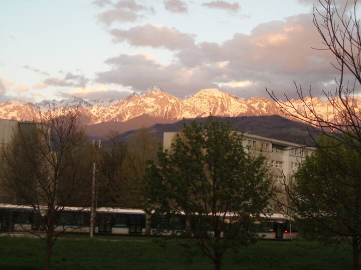 Chambre Panda Vue Sur Le Campus - Grenoble