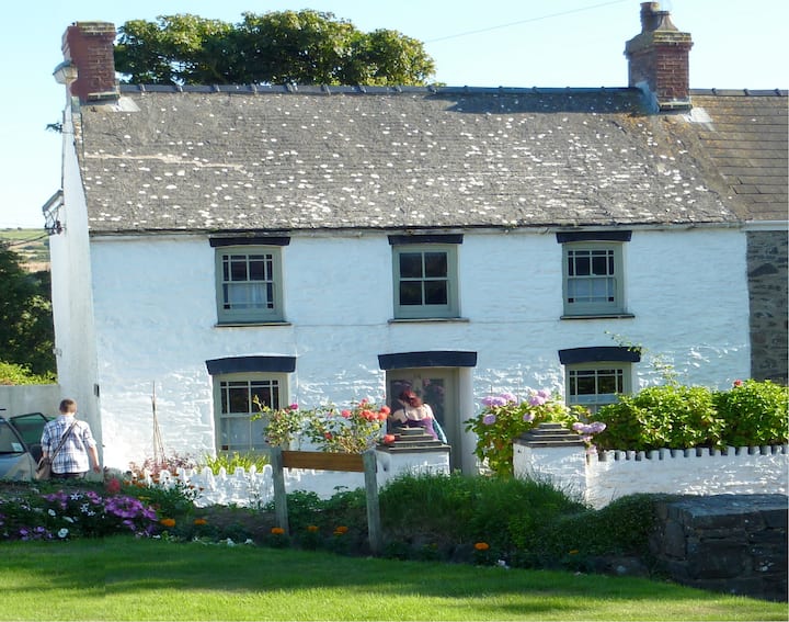 Artist's Coastal Cottage At Trefin, Pembrokeshire - Solva