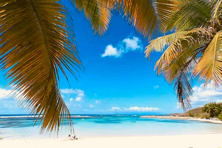 Vacances De Rêve Plage Piscine Véhicule En Option - Saint-François