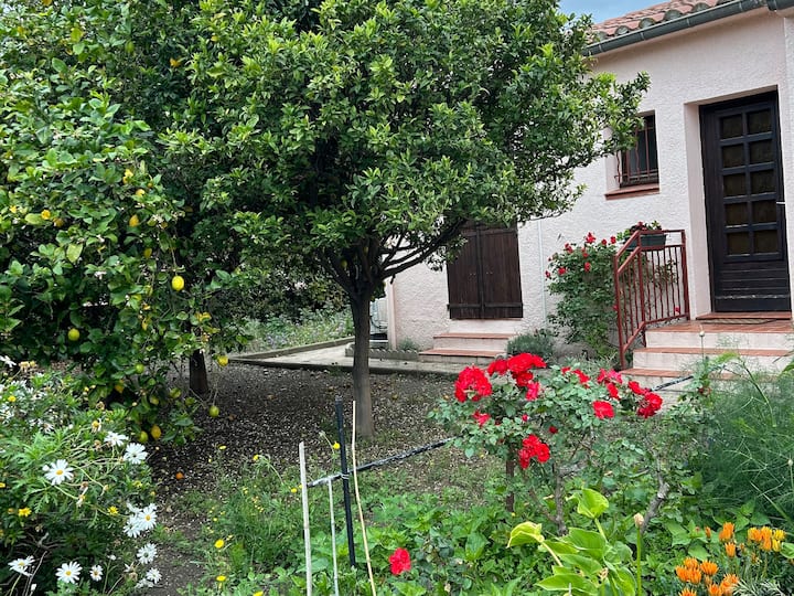 Proche Gare, « La Villa Rose » - 페르피냥