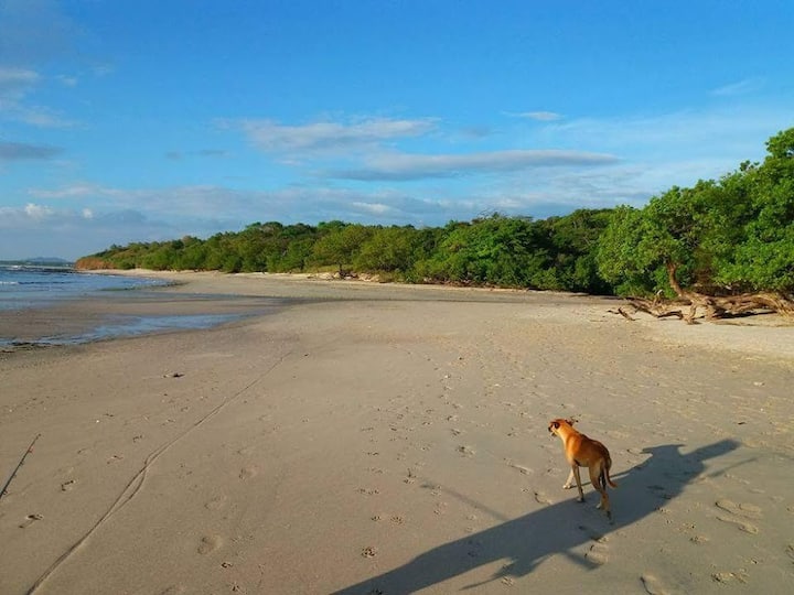 Two Bedroom Forest Cottage Avellanas Beach - Liberia