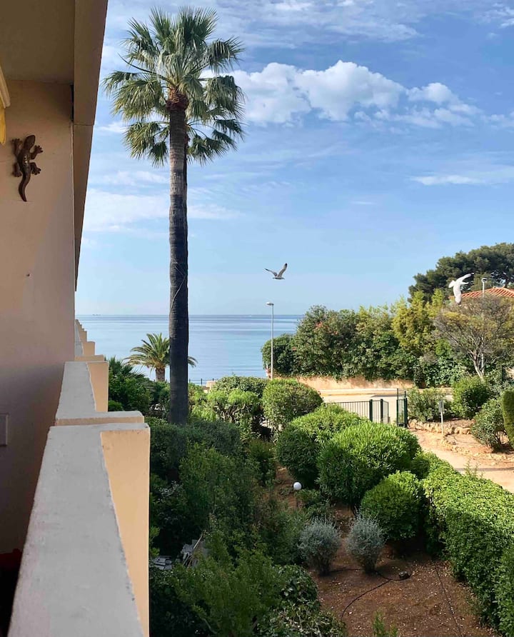 Front De Mer Et Tout à Pieds - Bandol