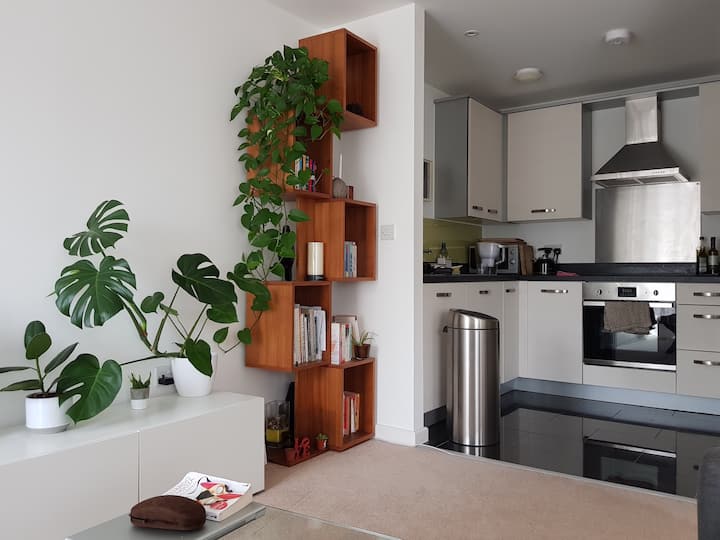 Modern Spacious 1 Bedroom Flat In Clapham/brixton - Londres