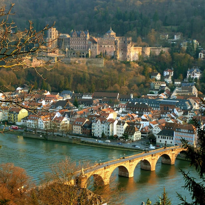 Helle Dg-wohnung In Heidelberg - Heidelberg