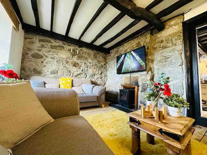 Trawsfynydd Stone Cottage - Blaenau Ffestiniog