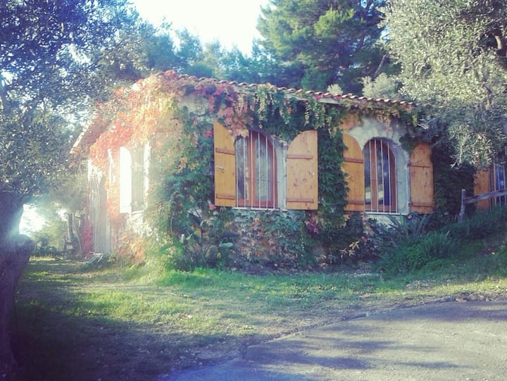 Viestesudvilla - Vieste
