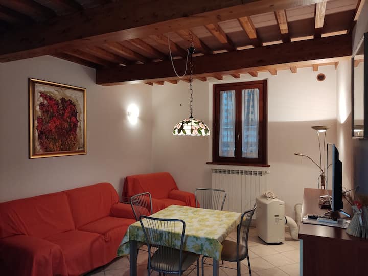 Mimosa Apartment - Old Town Of Pietrasanta - Pietrasanta