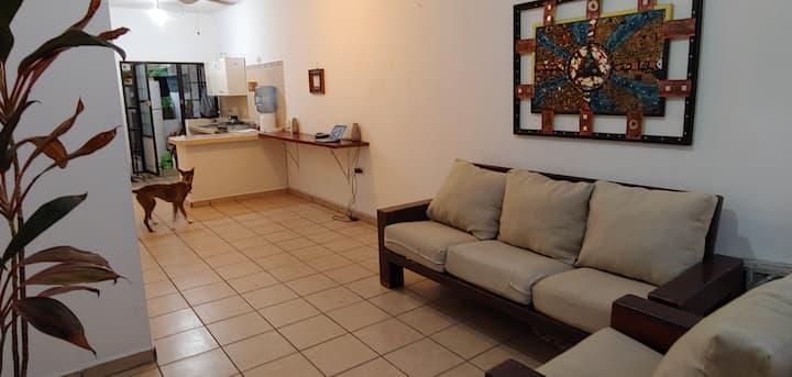 Casa Albatros (Baño Privado) - Puerto Vallarta