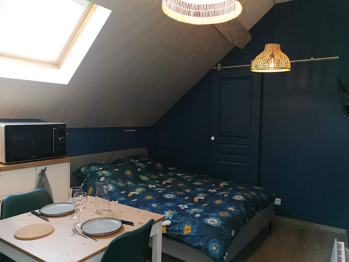 Cosy Centre Historique (Parking 200m), Climatisé - Dijon