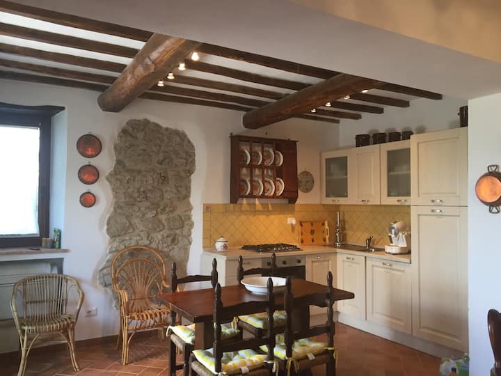 Podere Lo Stellino - Radda In Chianti - Radda in Chianti