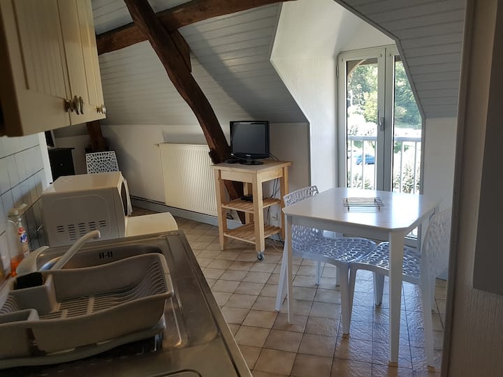 Meublés De La Roche - Rue De Falck - La Roche-Posay