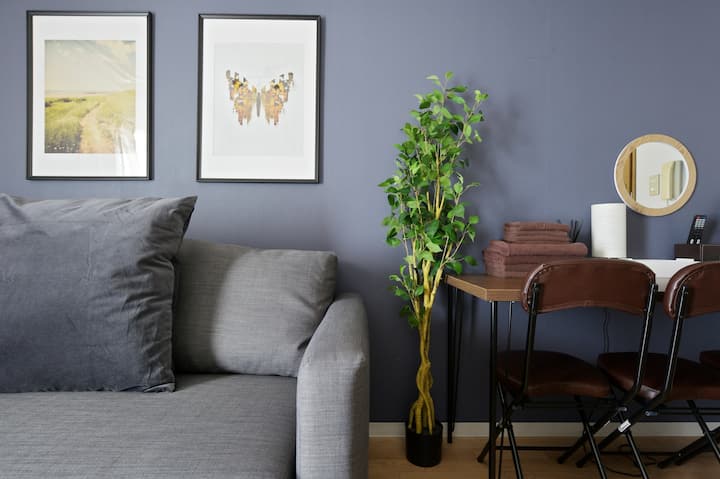 9921/500m From Shinsaibashi/city Cente/wifi/804 - Osaka