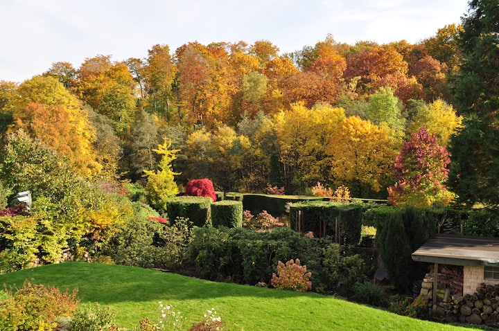 Luxury City Apartment In Top Area: Central + Green - ドイツ エッセン